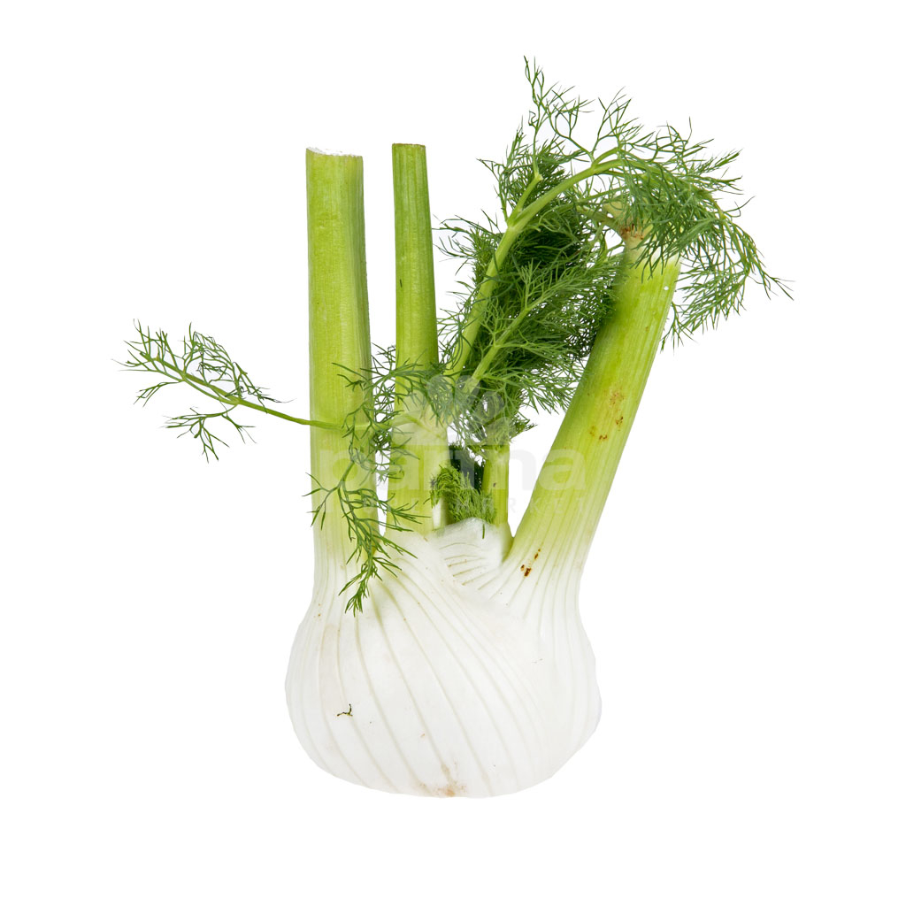 Dill Root